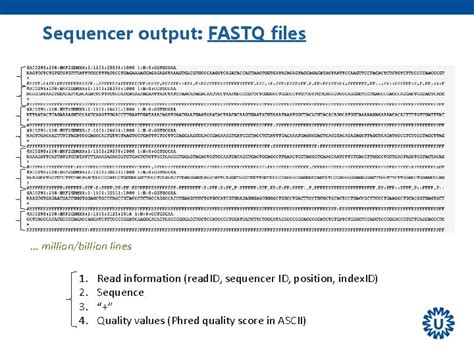 Mapping Sequence Reads Calling Variants Nc000012 11 G