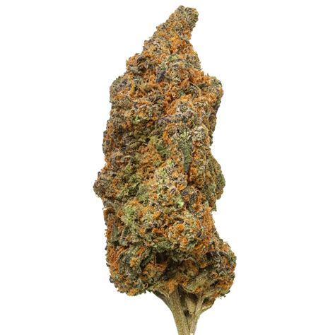 Specimen X Flow Gardens