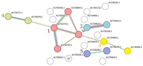 Proteomic And Transcriptomic Analyses Of Cutibacterium Acnes Biofilms
