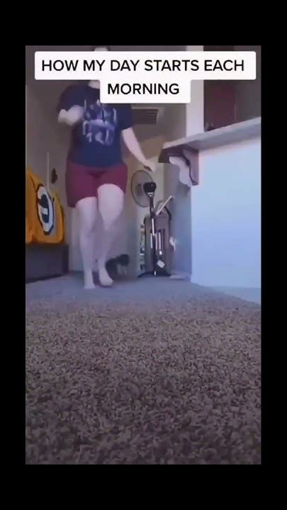 Funny And Cute Dogs Compilationfunnydogscutedogloverdoglifecure