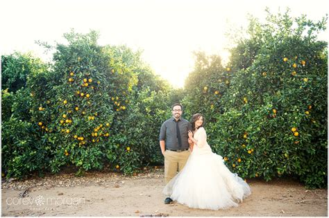 Riverside Orange Grove Wedding Inspiration One Year Anniversary Shoot