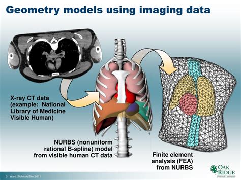 ppt biomedical modeling and simulation powerpoint presentation free