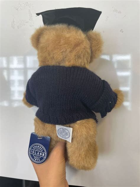 Lse Graduation Bear Hobbies And Toys Toys And Games On Carousell