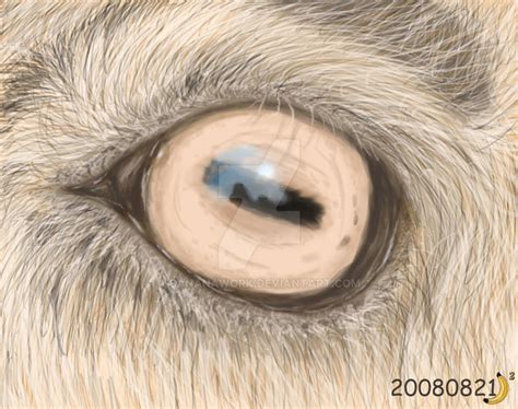 Goat Eye By Bananawork On Deviantart