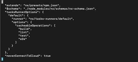 NeverConnectToCloud Doesn T Work Issue 16870 Nrwl Nx GitHub