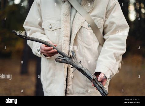 Human Hand Holding Tree Branch Hi Res Stock Photography And Images Alamy