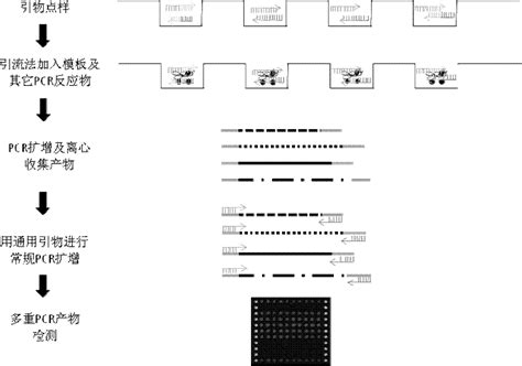 General Multiplex Polymerase Chain Reaction Realization Method Based On Microarray Chip Eureka