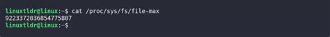 what are file descriptors in linux