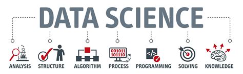 What Is Data Science Meaning Lifecycle Data Scientist Skills