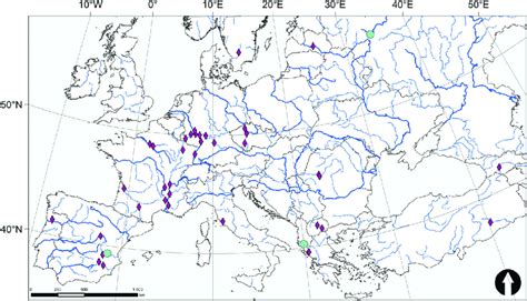Photosynthetic Activity Of Phytoplankton And Macrophytes For Example Download Scientific