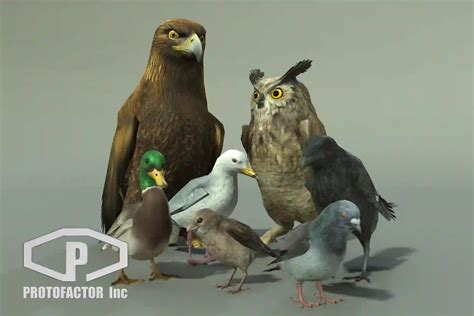 BIRDS PACK Game Assets Free