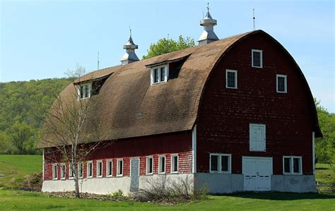 5000 Free Barn Psykolog And Barn Images Pixabay