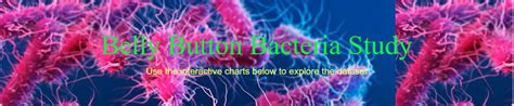 GitHub Ibachrachel Belly Button Biodiversity Module Javascript Plotly And Webpages