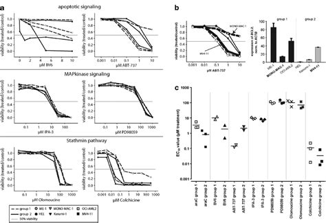 Cell Viability Of Model Cell Lines After H Of Treatment With Download Scientific Diagram
