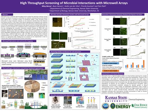 PDF High Throughput Screening Of Microbial Interactions With Microwell Arrays