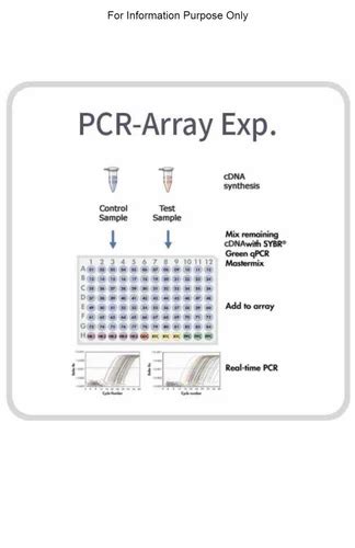 Custom Rt2 Profiler Pcr Array At Rs 3800 Piece In Pune Id 2854247465633