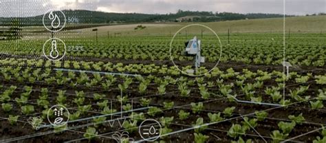 ai in crop management