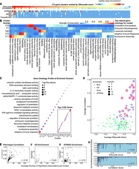 Enrichment Of Identified Clusters For Known Gene Sets Is Dependent On