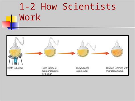 Ppt 1 2 How Scientists Work Designing An Experiment How Do Scientists Test Hypotheses
