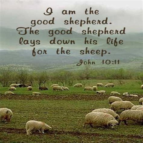 Good Shepherd Quotes M Russell Ballard Quote “trust The Lord He
