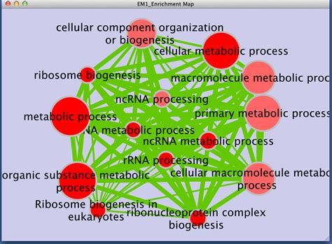 Gprofiler Tutorial — Enrichmentmap 22 Documentation