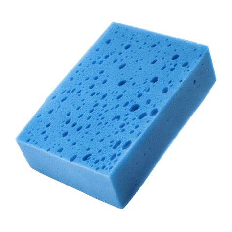 Sponge Pngs For Free Download