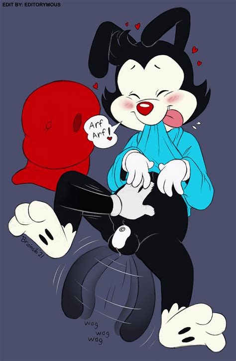 Post Animaniacs Brainbabe Edit Editorymous Wakko Warner