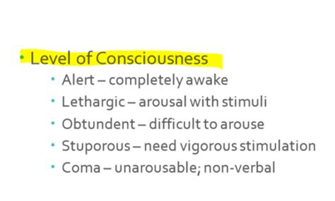 Cognition Flashcards Quizlet Cognition Flashcards Quizlet