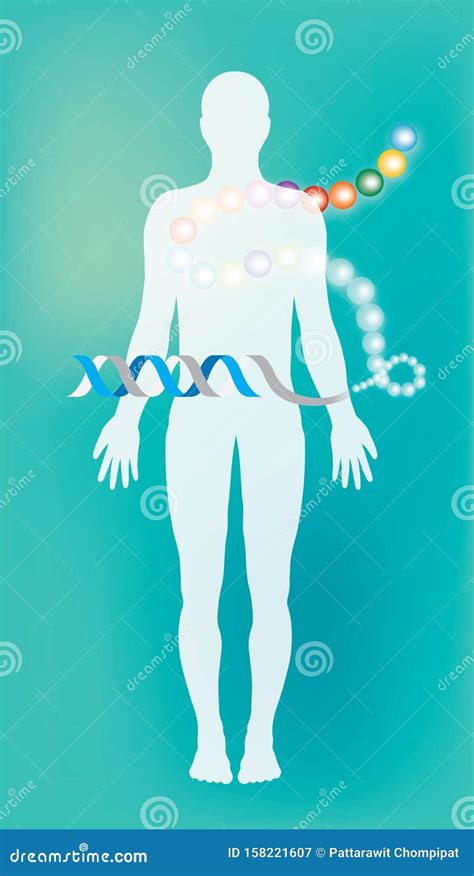 Protein Structure Levels From Amino Acid To Alpha Helix Beta Sheet Peptide And Protein