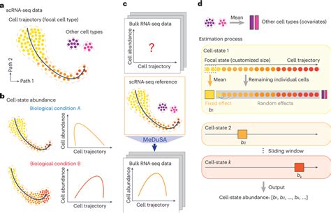 Schematics Of The Concept Of Cell State Trajectory Deconvolution And