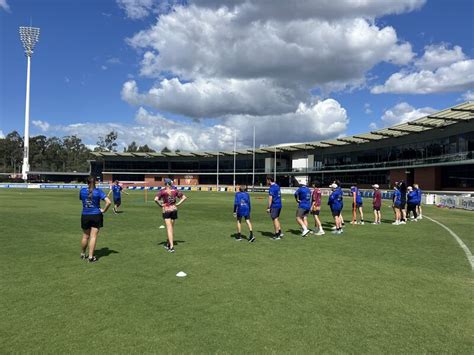 Brisbane Lions Institute Of Business And Sport Students Studying Meet