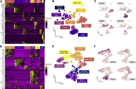 A Quantitative Framework For Evaluating Single Cell Data Structure
