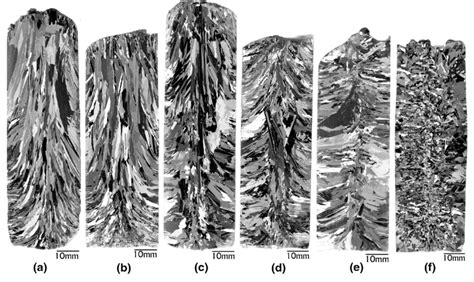 Macrostructures Of The Ingots Obtained In The Directional Download