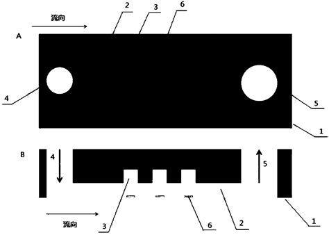 Microfluidic Chip And Application Thereof Eureka Patsnap
