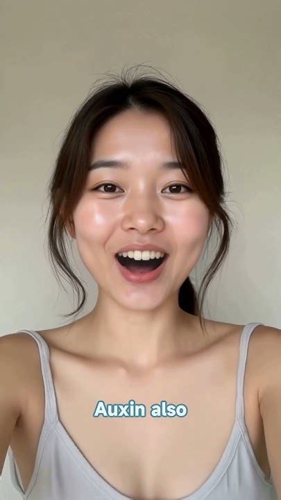 How Auxin Influences Root Development And Architecture Youtube