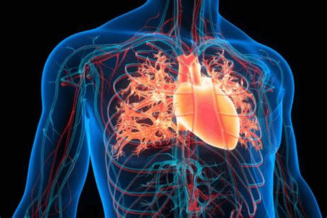 Chb Medical Abbreviation Meaning Liv Hospital