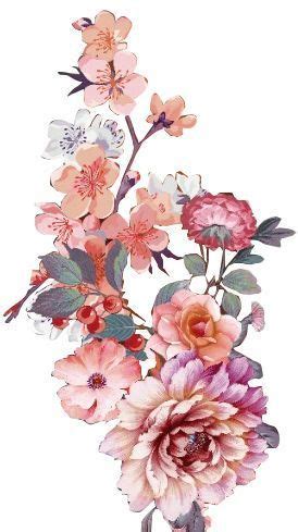 Pin By Vivek Kumar On Find Botanical Flower Art Flower Art Images Flower Sketches