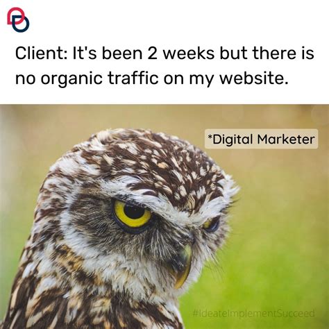 Brainium Information Technologies On Linkedin Digitalmarketing Meme Ideateimplementsucceed