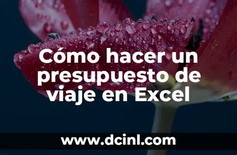 Cómo Hacer Presupuesto De Un Proyecto De Investigación