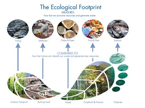 Hydro Nation Chair Research And Innovation Programme How Ecological
