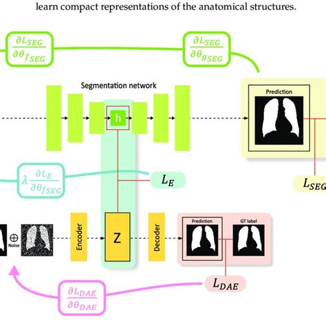 Architecture Of The Denoising Convolutional Autoencoder Dae Download Scientific Diagram