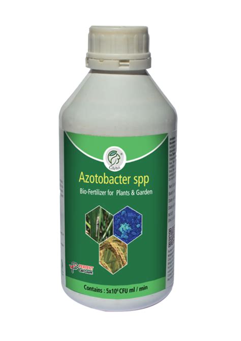Azotobacter Spp Gilehri Organics