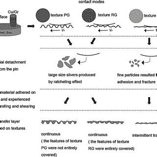 A Schematic Process Of Transfer Layer Formation Ma Et Al Download Scientific
