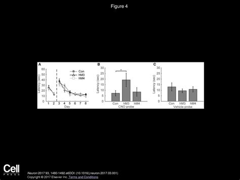Difference Between Depolarization And Hyperpolarization