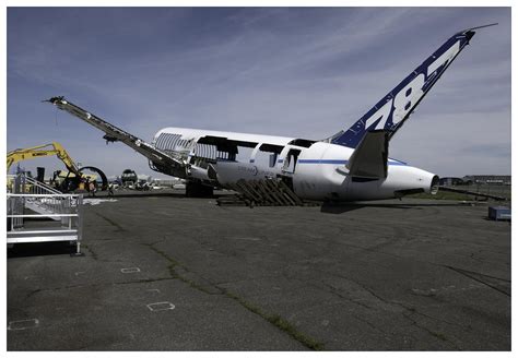 Boeing 787 Crash