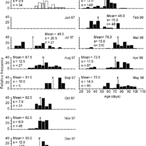 Microstructure Of The Right Sagittae Of A White Mullet Juvenile Mugil