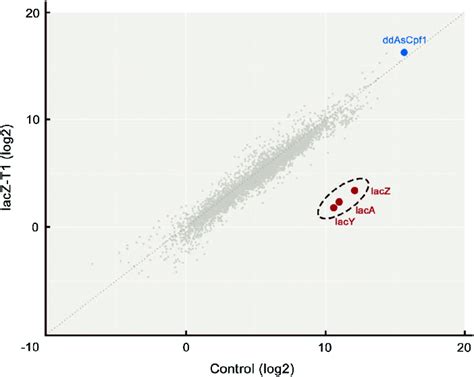 Whole Transcriptome Rna Seq Analysis Of The Specificity Of Download Scientific Diagram