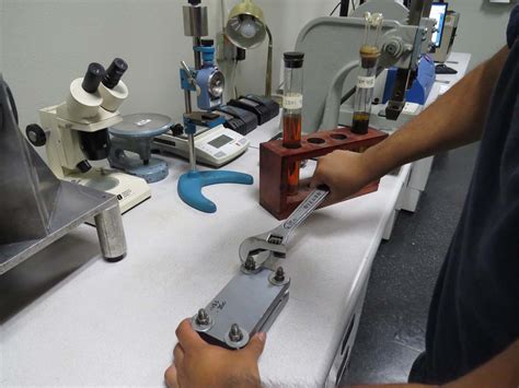 What Is Compression Set Of Elastomers At Jerald Hunt Blog