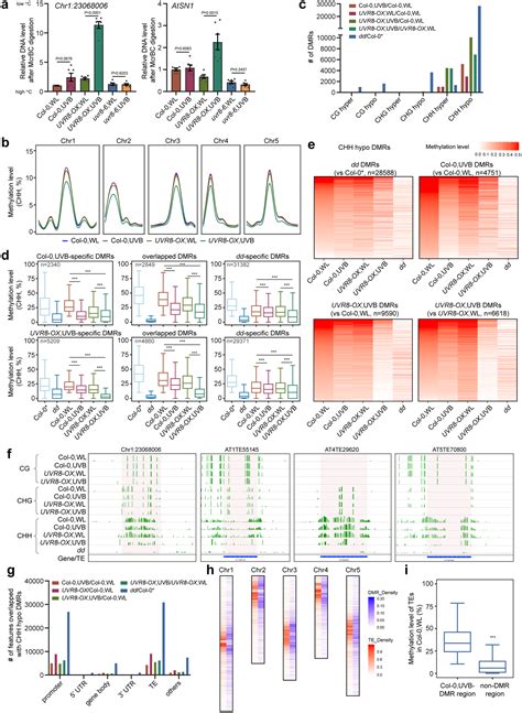 Uvr8 Interacts With De Novo Dna Methyltransferase And Suppresses Dna Methylation In Arabidopsis