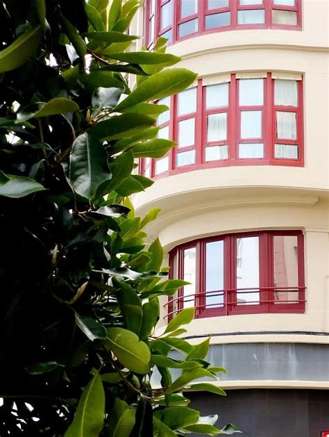 Bay Windows Las Ventanas Bahía Mirador Campus Training